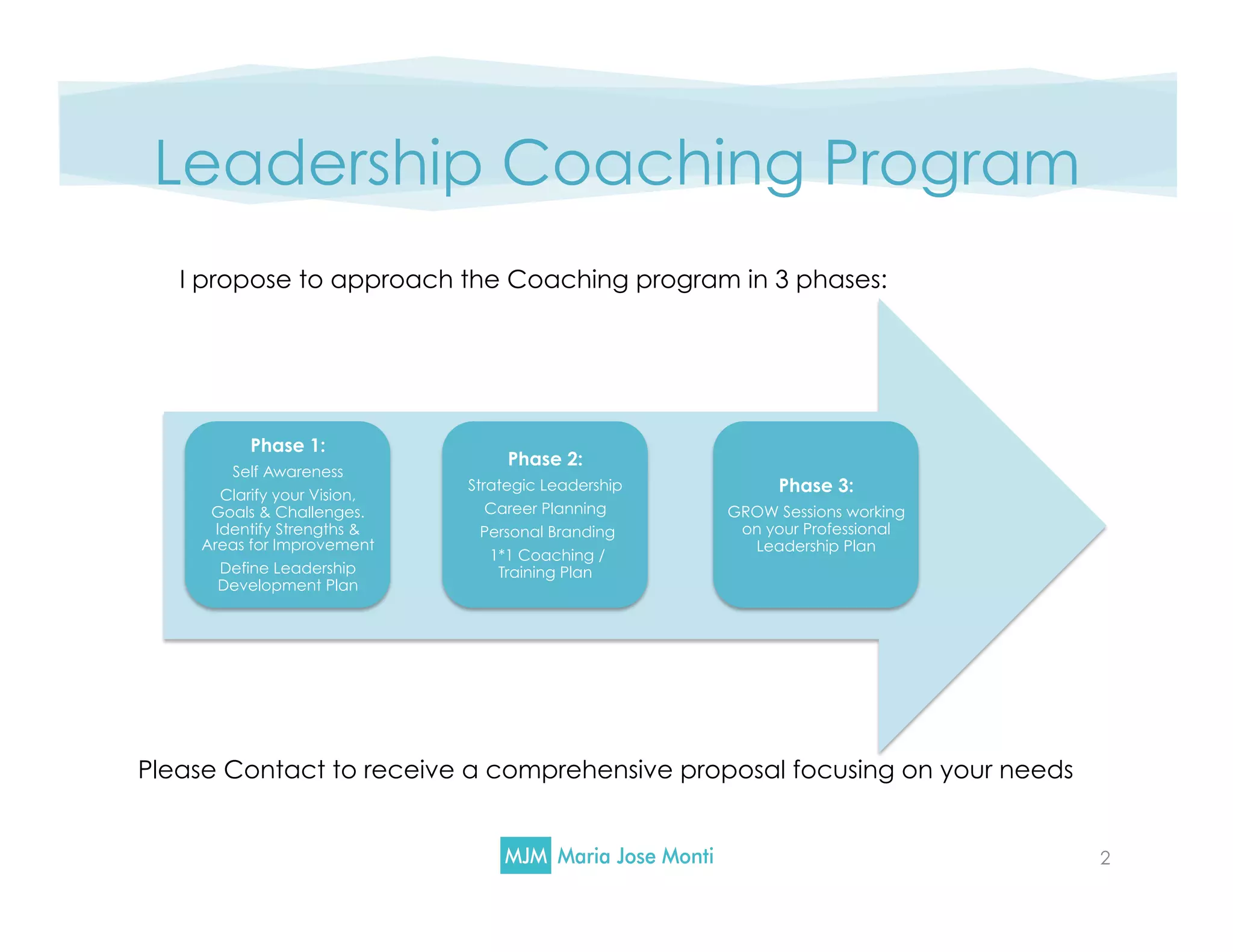 LeadershipCoachingLinkedin Slide | PDF