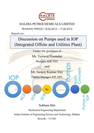 HPL Report on Pumps in IOP by Subham Shit [Final] | PDF