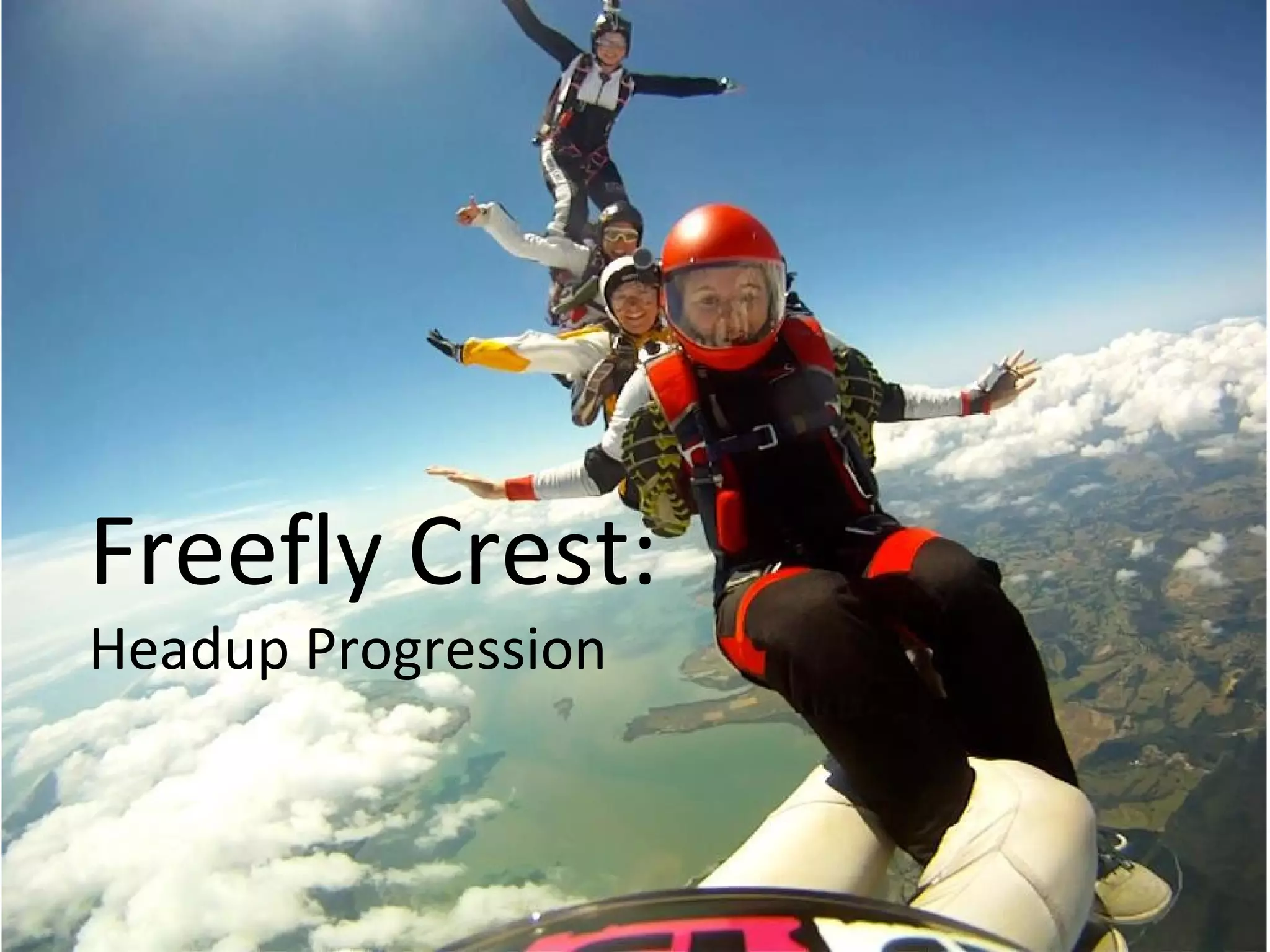 FF1 Freefly Crest: New Zealand Freefliers | PPT