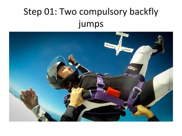 FF1 Freefly Crest: New Zealand Freefliers | PPT