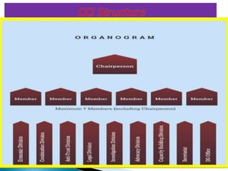 Presentation on public procurement and competition concern11 | PPTX
