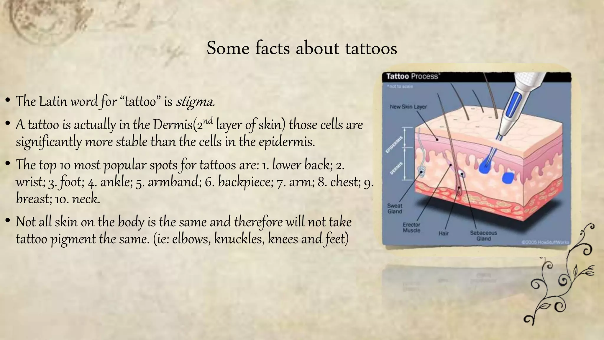 Tattoo project PPT | PPTX