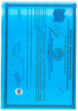 Attestation INPP | PDF