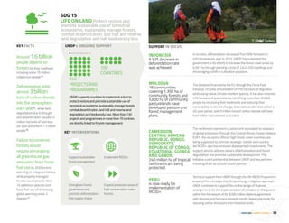 UNDP Climate Change Report | PDF