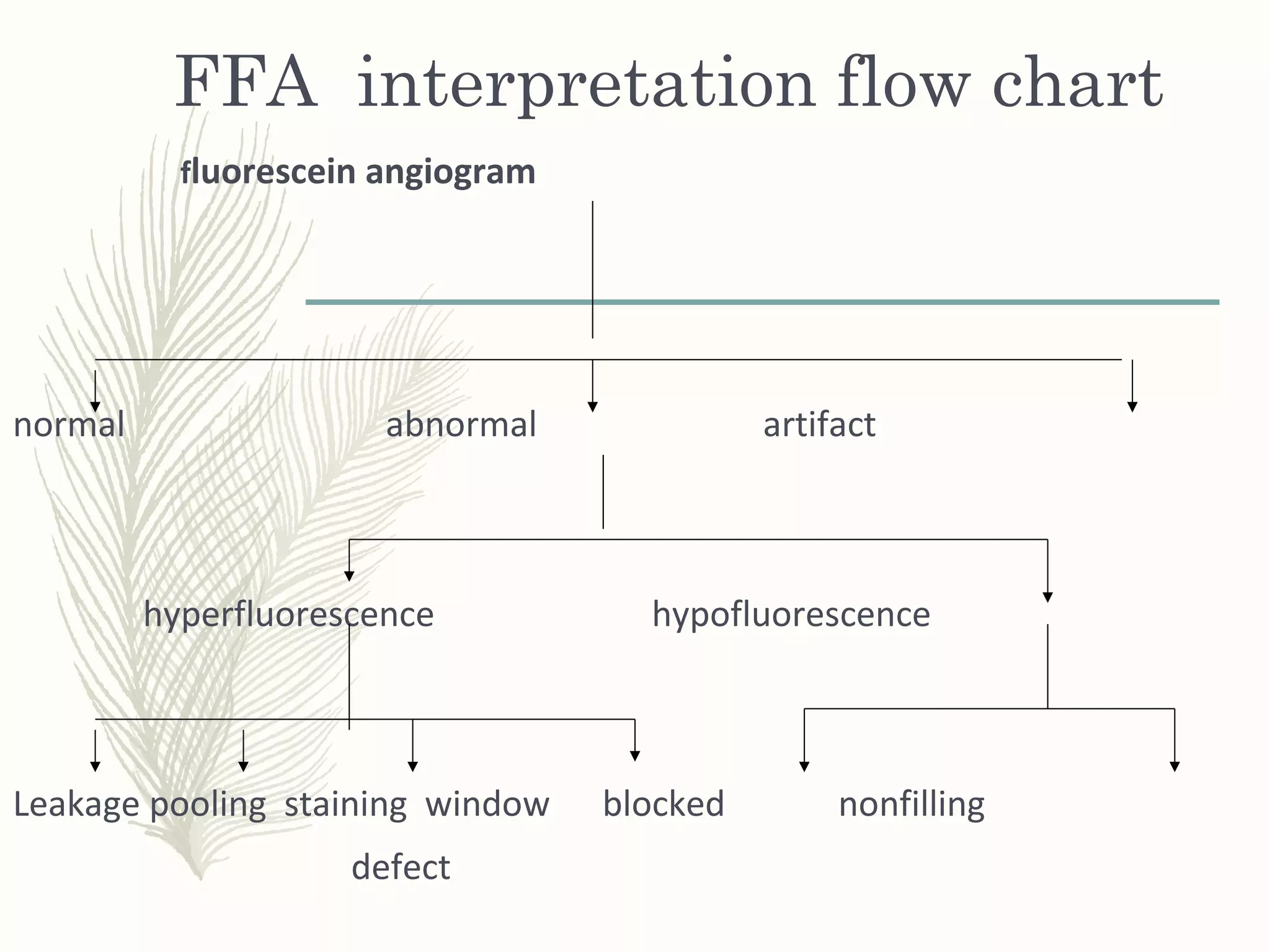FUNDUS FLUORESCEIN ANGIOGRAPHY | PPT