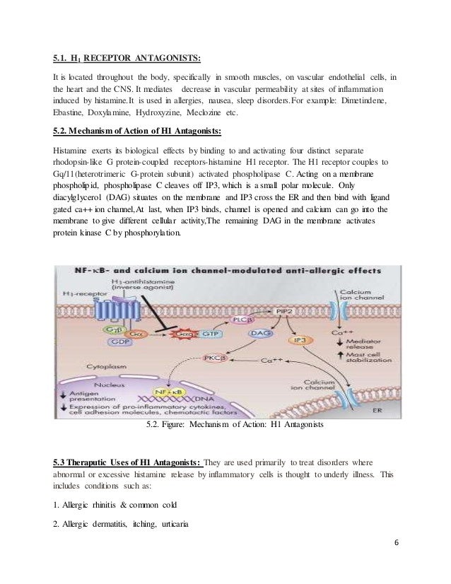 antihistamine (1)