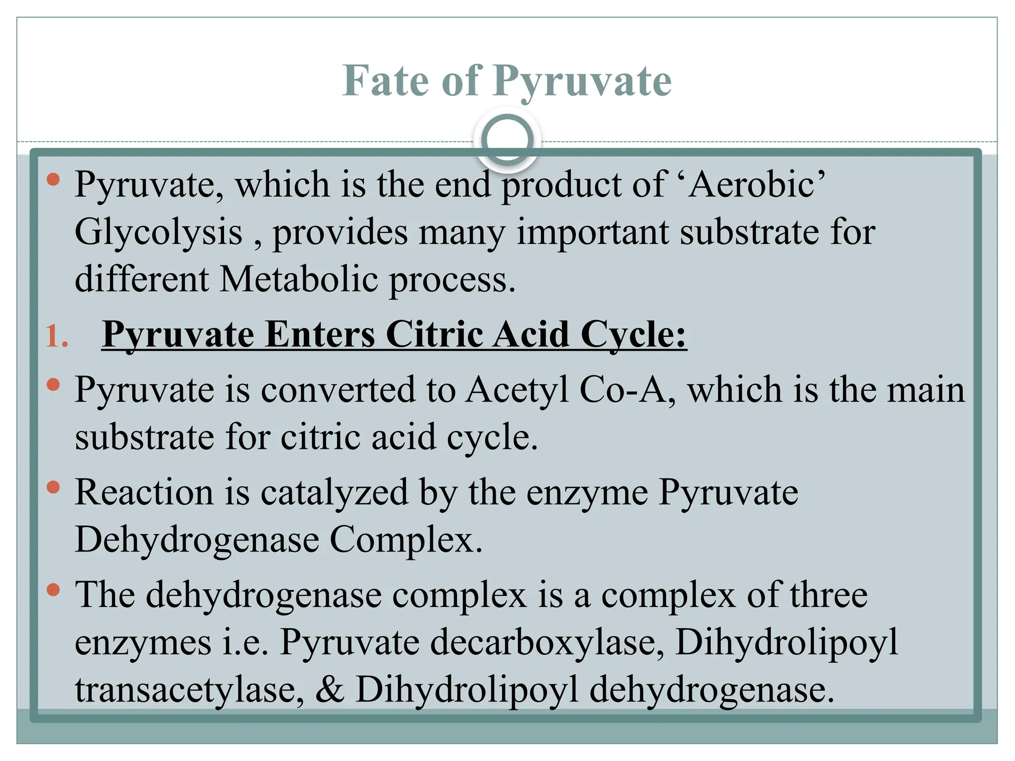 FateOfPyruvate-1.pptx biochemistry pptx. | PPTX