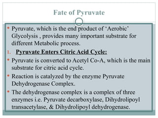 FateOfPyruvate-1.pptx biochemistry pptx. | PPTX