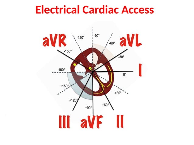 lecture on cardiac Axis on ecg for nurses | PPT