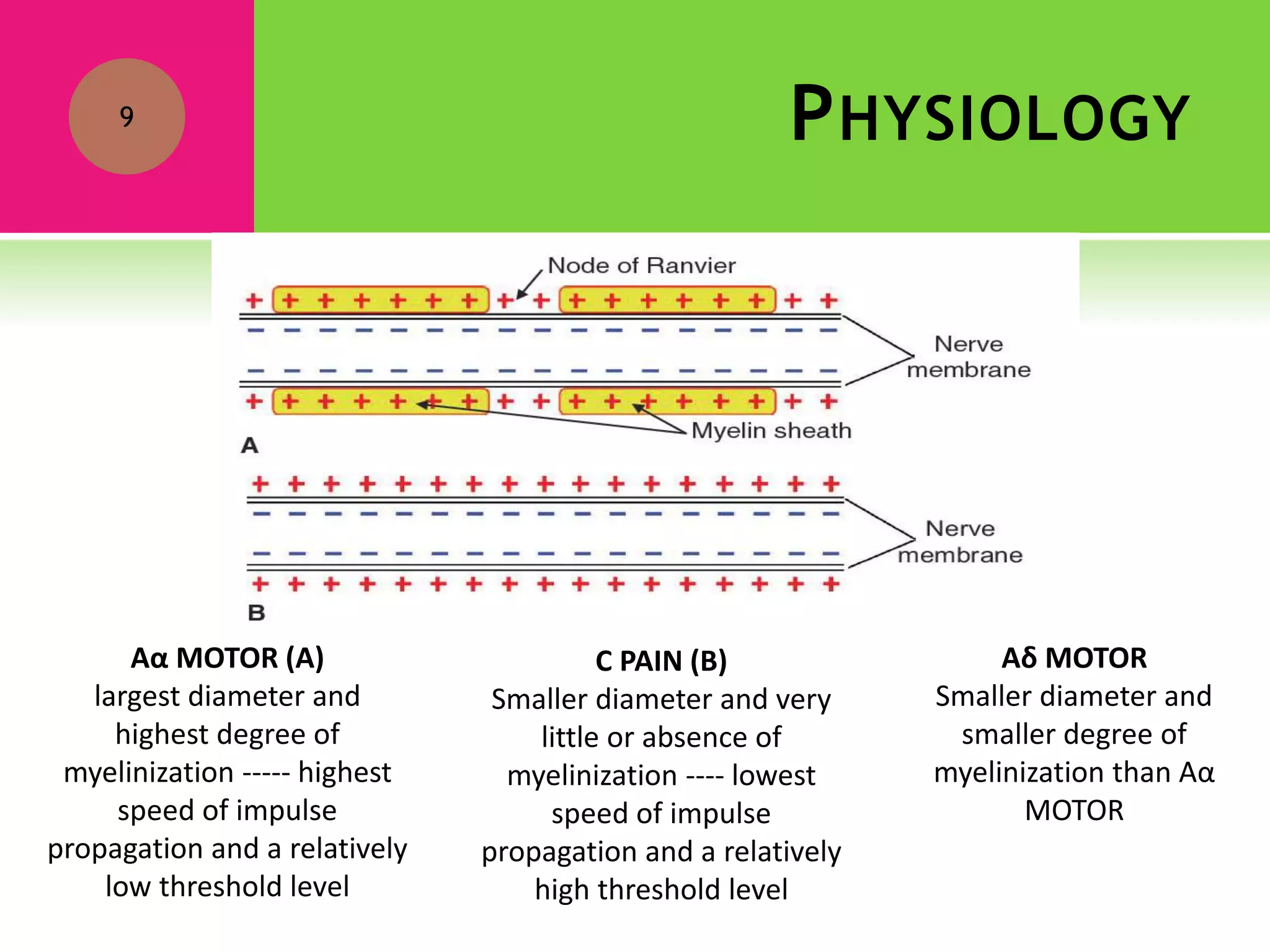 Peripheral Nerve Block Part 1 | PPTX