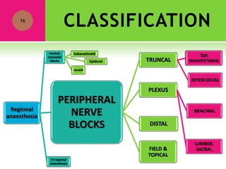 Peripheral Nerve Block Part 1 | PPT