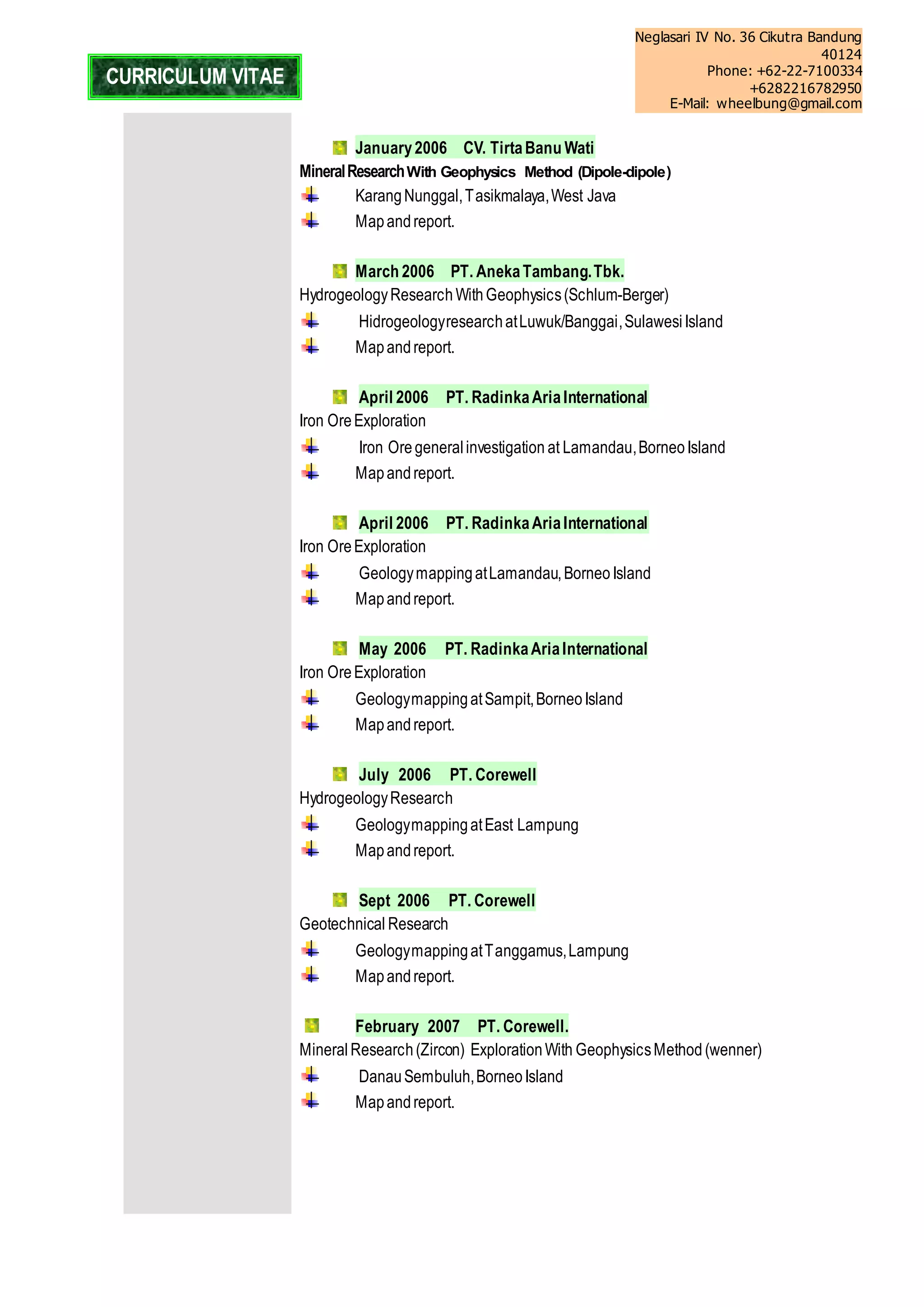 CV Willy Bungsu Sanadi | DOCX