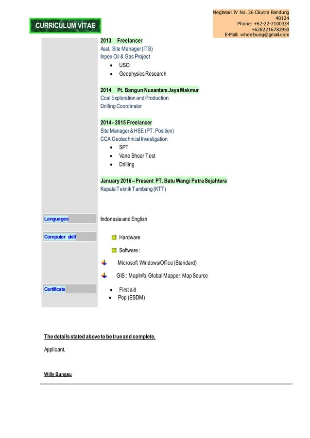CV Willy Bungsu Sanadi | DOCX