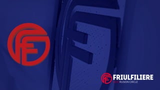 FRIUL FILIERE SPA COMPANY PROFILE | PPT