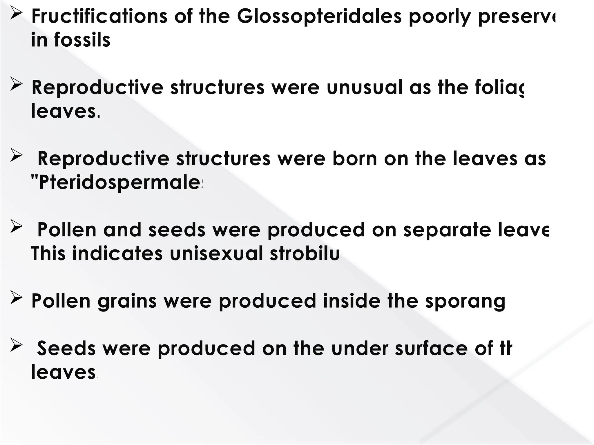 gymnosperm, Glossopteridales, Glossopteris | PPTX