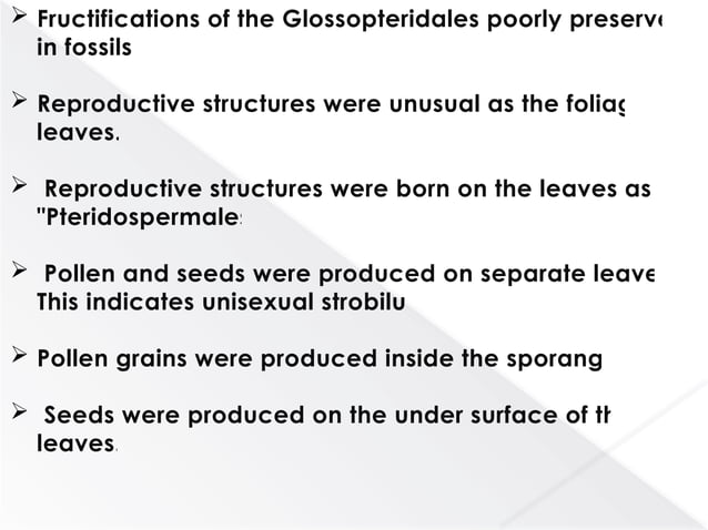 gymnosperm, Glossopteridales, Glossopteris | PPTX
