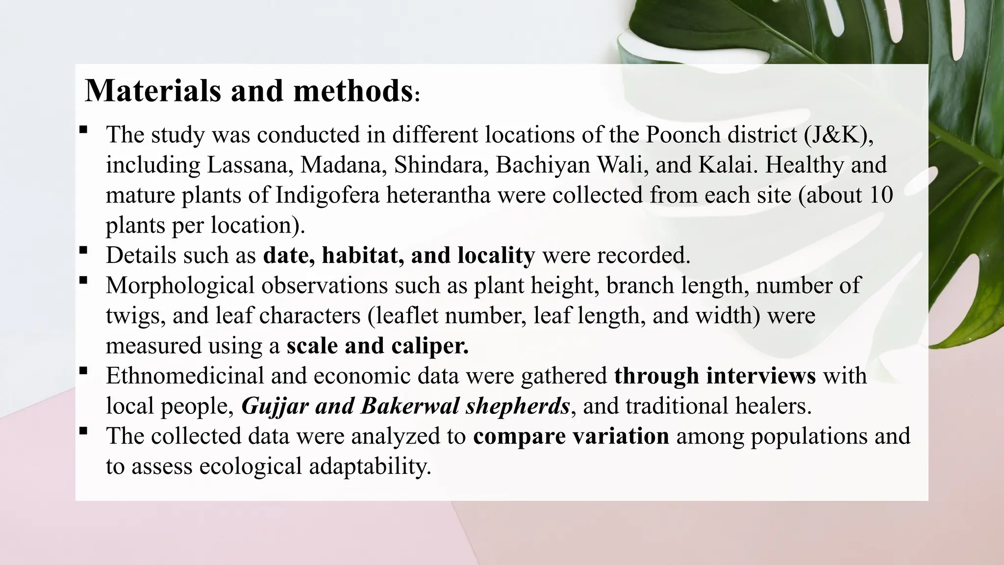 Morphological, ecological, Medicinal and Economic aspects of Indigofera ...