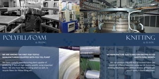 Mount Fuji Brochure 2015 | PPT