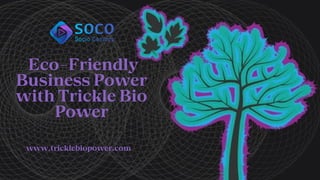 Bioelectricity for an Eco-Friendly World: Trickle Bio Power | PPT