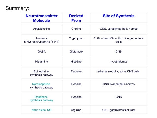 Acetylcholine | PPT | Brain and Nervous System Disorders | Diseases and ...