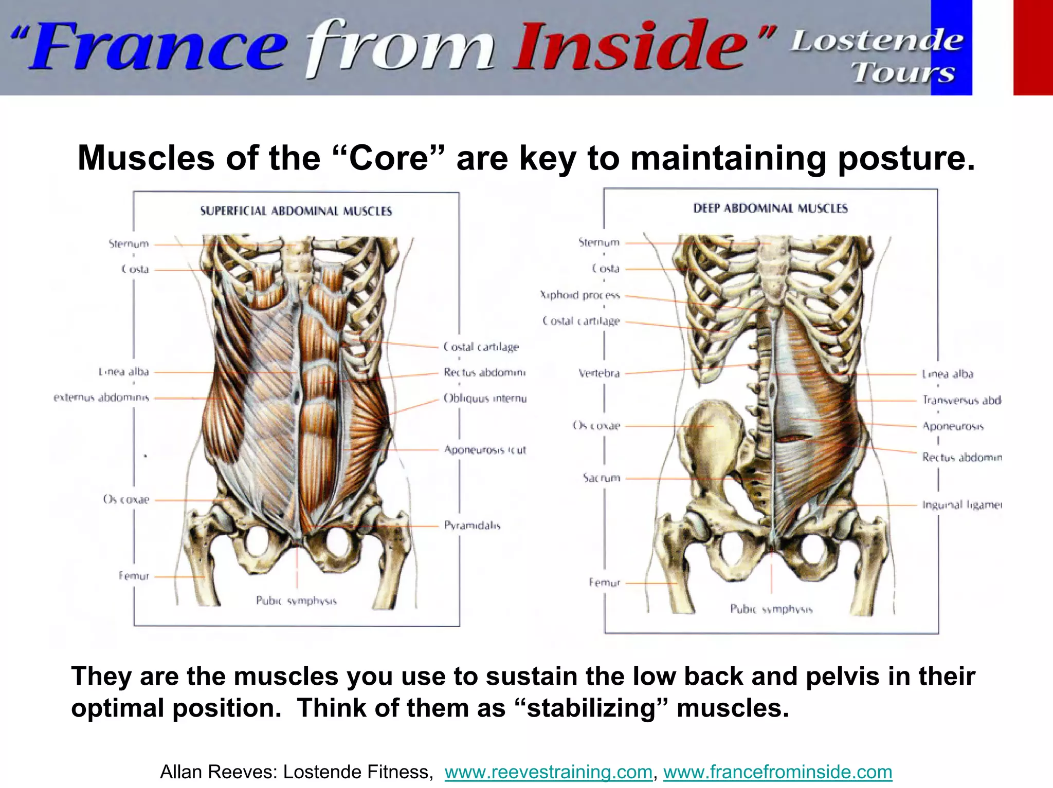 Good Bike Posture with Core Engaged | PDF