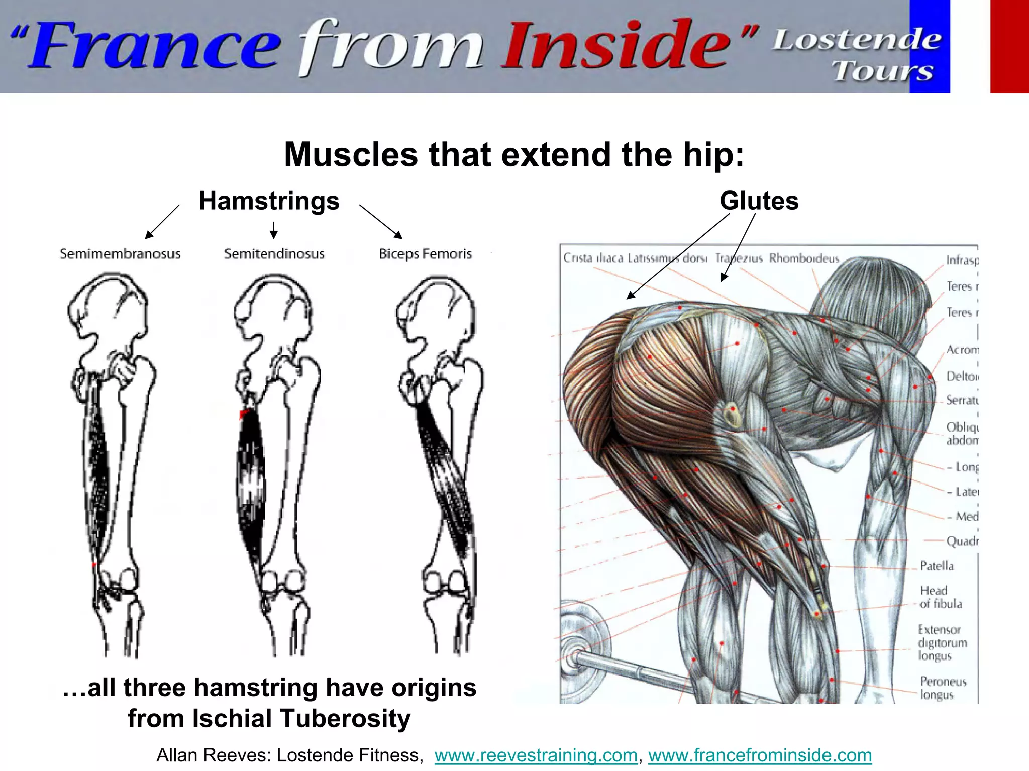 Good Bike Posture with Core Engaged | PPT
