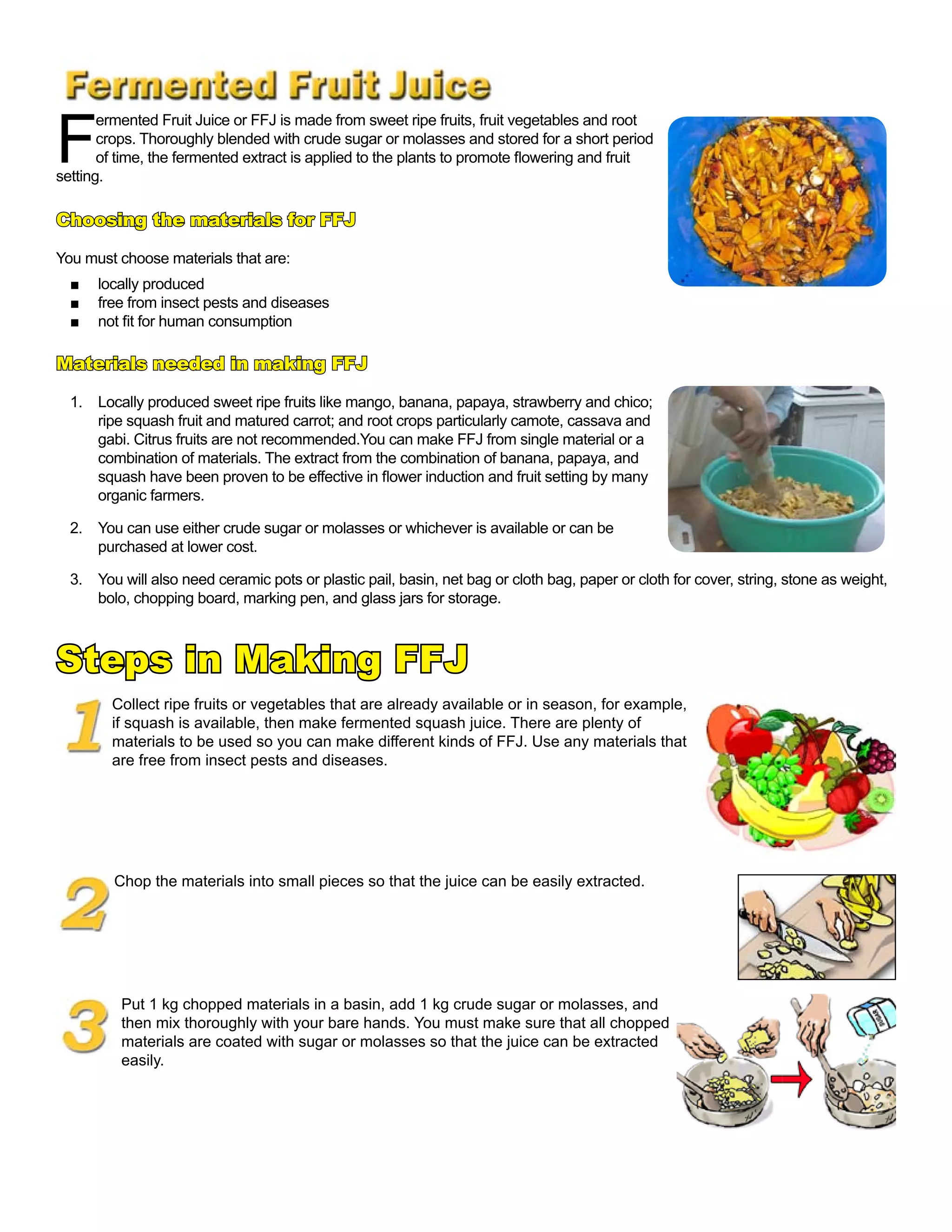Organic Fertilizer 2 | Fermented Fruit Juice (FFJ) | PDF