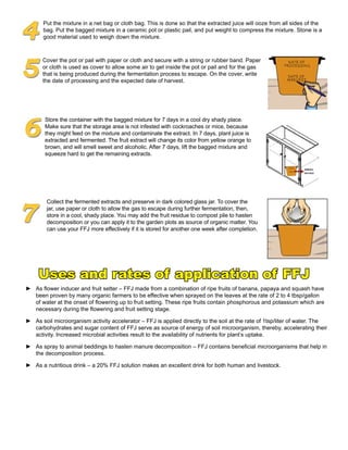 Organic Fertilizer 2 | Fermented Fruit Juice (FFJ) | PDF