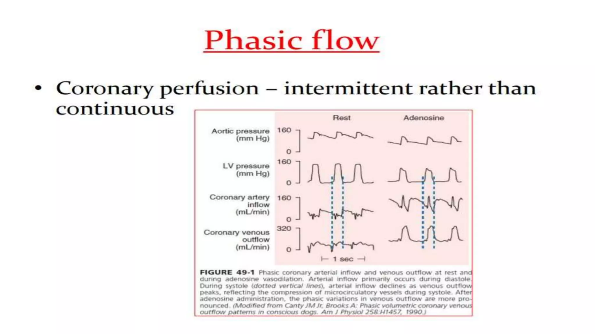 FFR(fractional flow reserve) | PPTX
