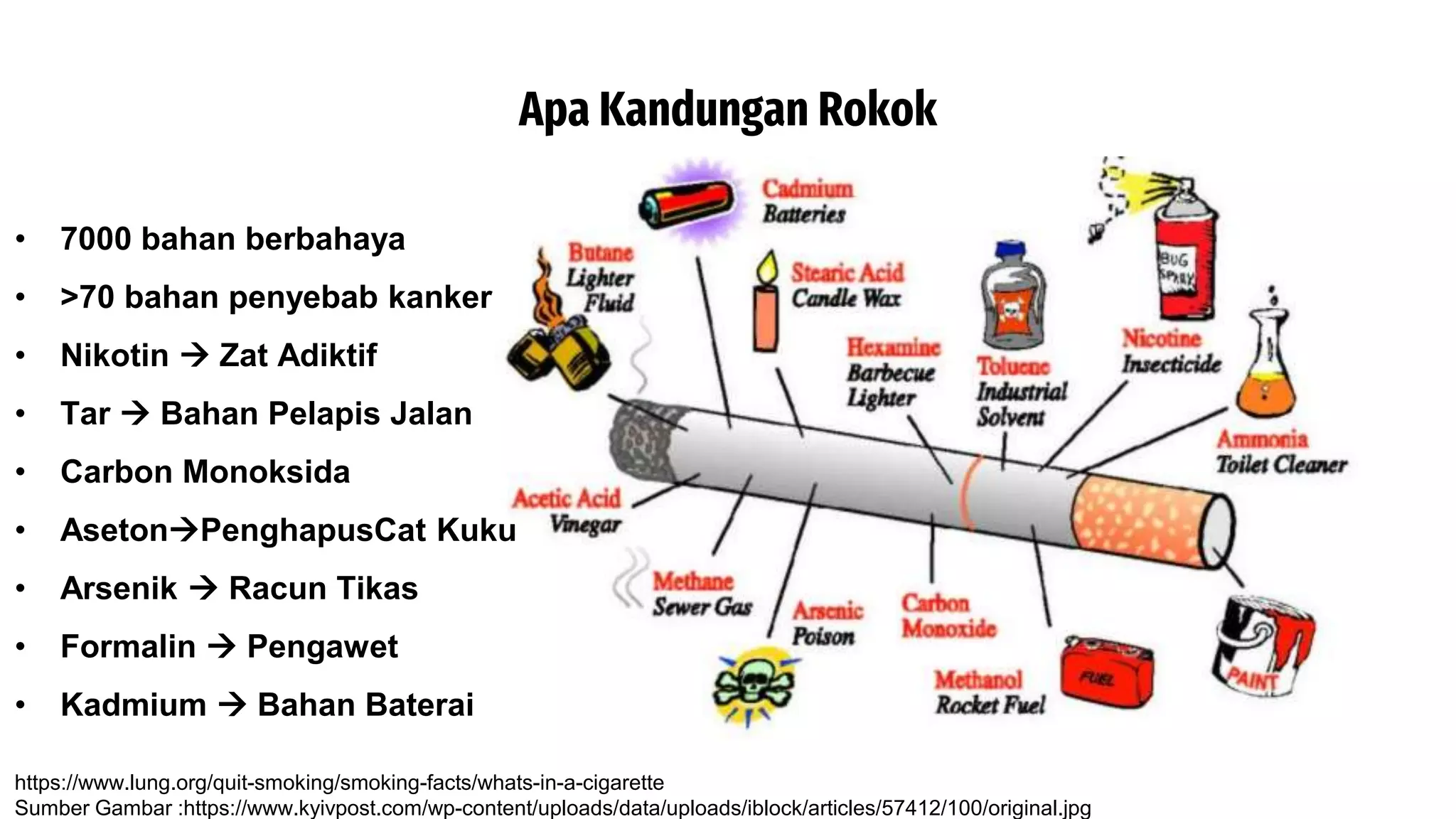 FFT Dampak bahaya rokok pada remaja dan pengendaliannya.pptx