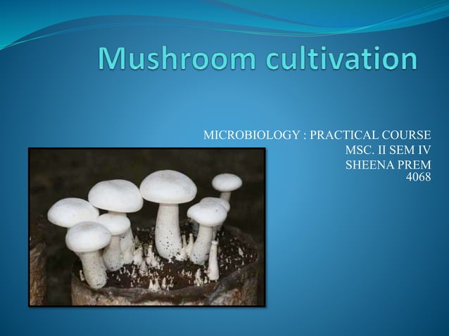 4068 mushroom cultivation | PPTX | Gardening | Home & Garden