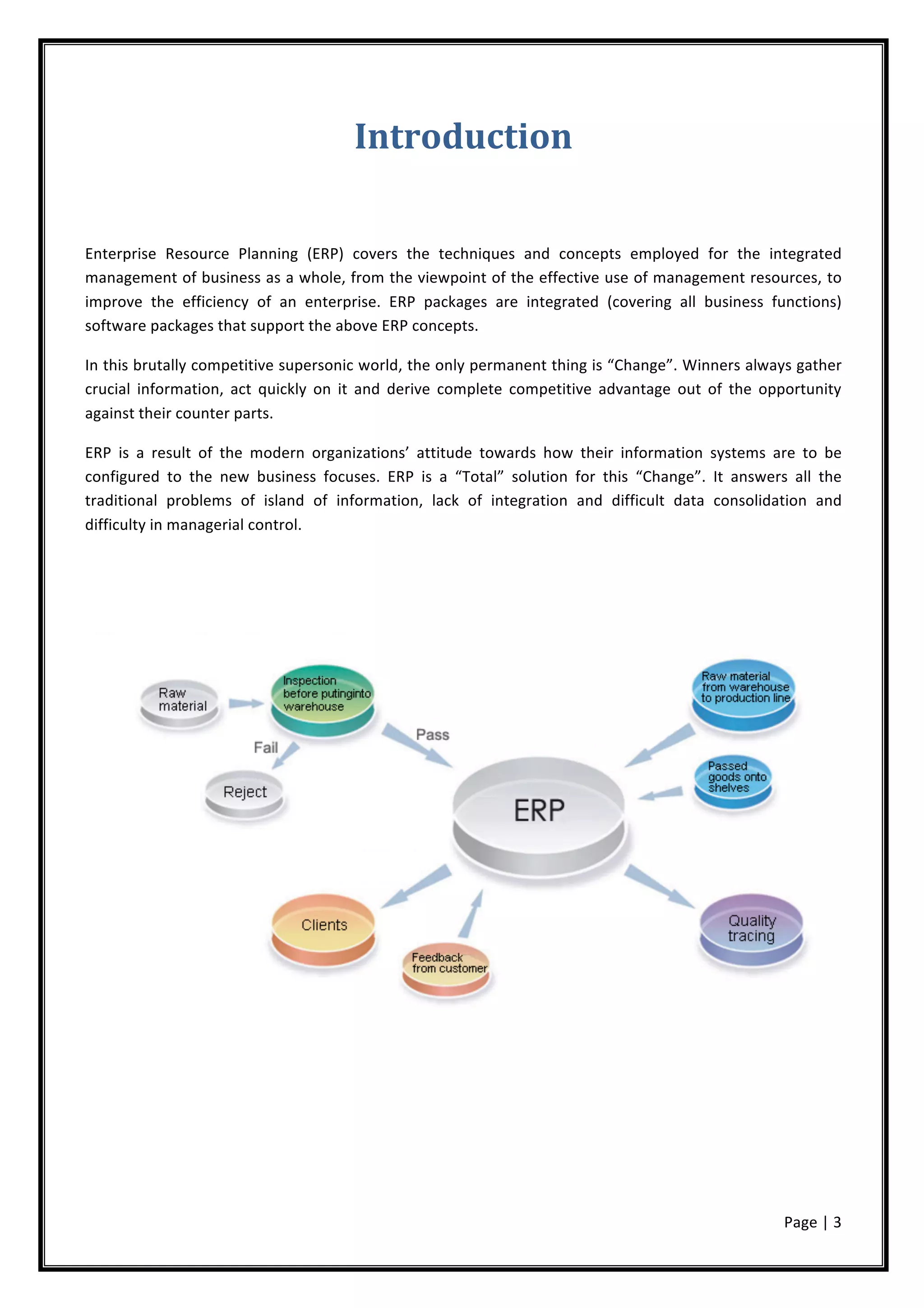 ERP Introduction | PDF