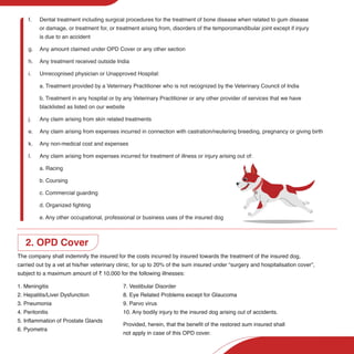 Future Generali Dog Health Cover - Mischievous. Notorious. Playful - We ...