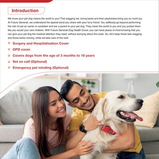 Pet Dog Health Insurance - Comprehensive Coverage for Your Furry Friend ...