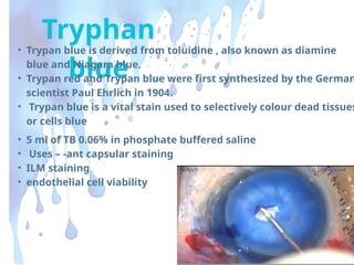 Staining of an eye (for students of optometry) | PPTX | Eye and Vision ...