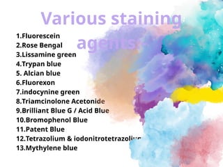 Staining of an eye (for students of optometry) | PPTX | Eye and Vision ...