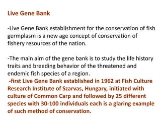 fish genetics and conservation of aquatic species | PPTX