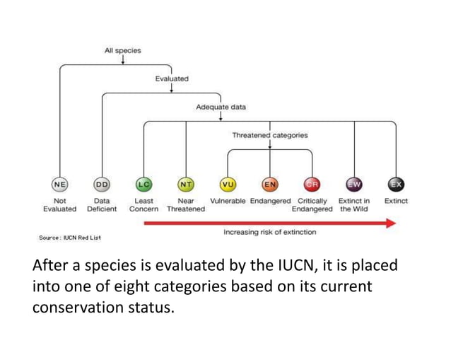 fish genetics and conservation of aquatic species | PPTX | Fish and ...