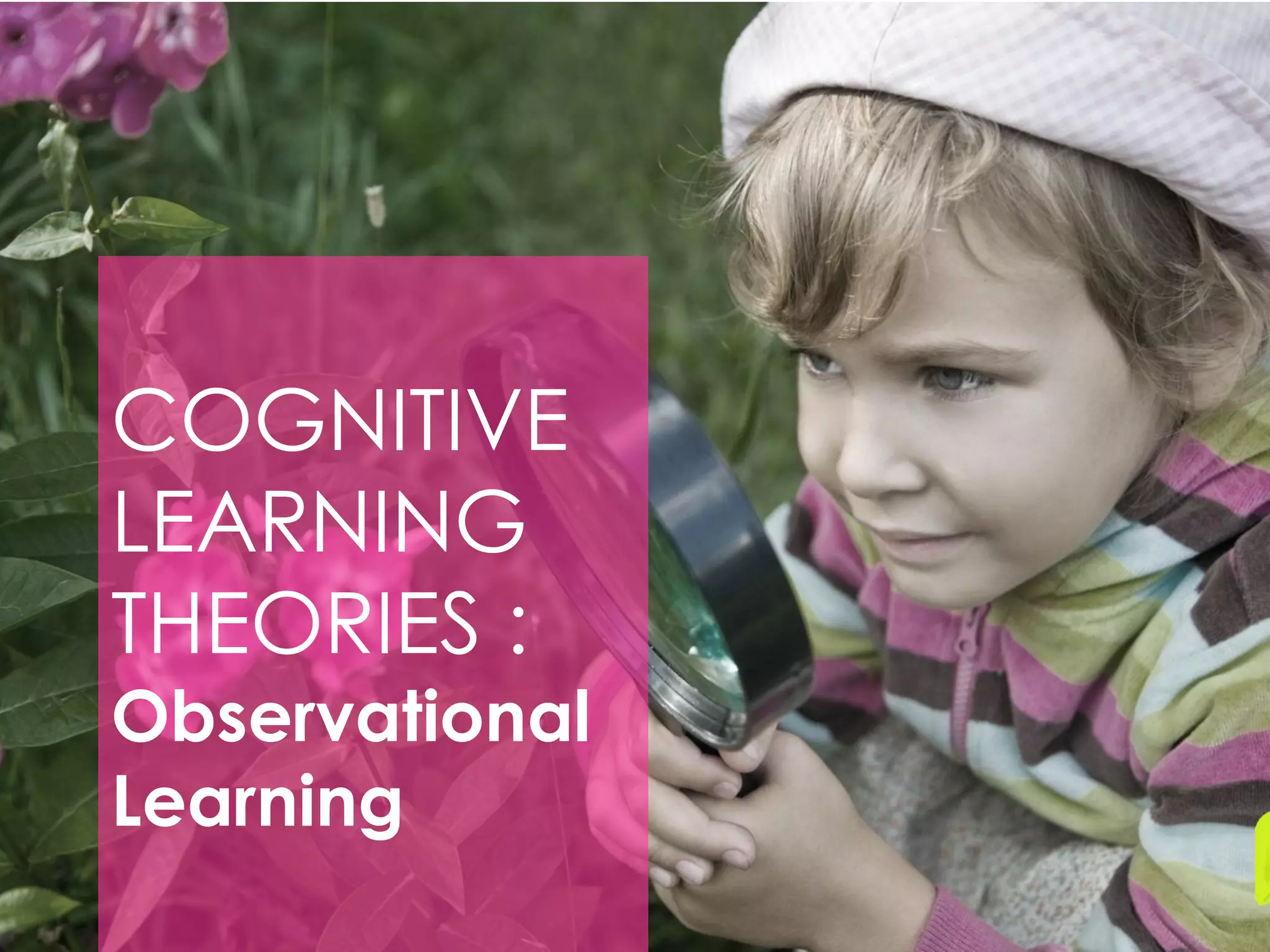 COGNITIVE LEARNING THEORY | PPT