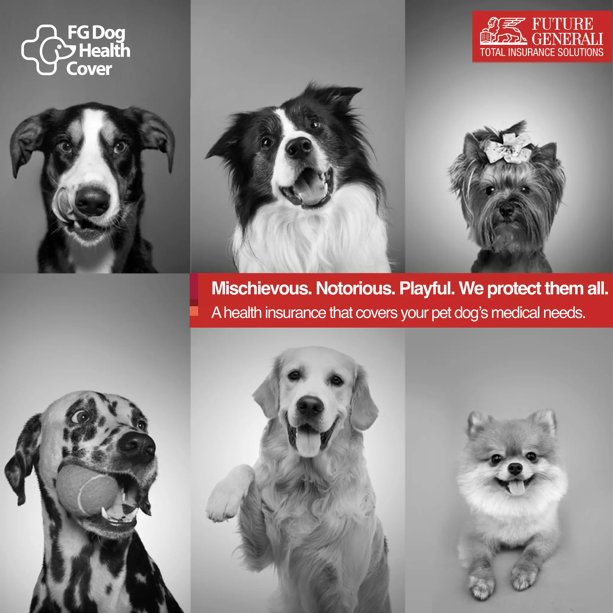 FG Dog Health Cover - Future Generali | PDF | Pet Insurance | Insurance