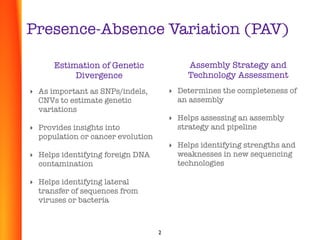 F Giordano ScanPAV Analysis Pipeline | PDF