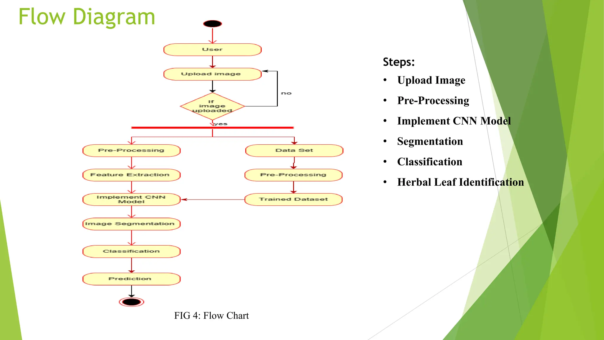 Identification and detection of herbal plants pptF (1).pptx