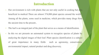 Identification and detection of herbal plants pptF (1).pptx