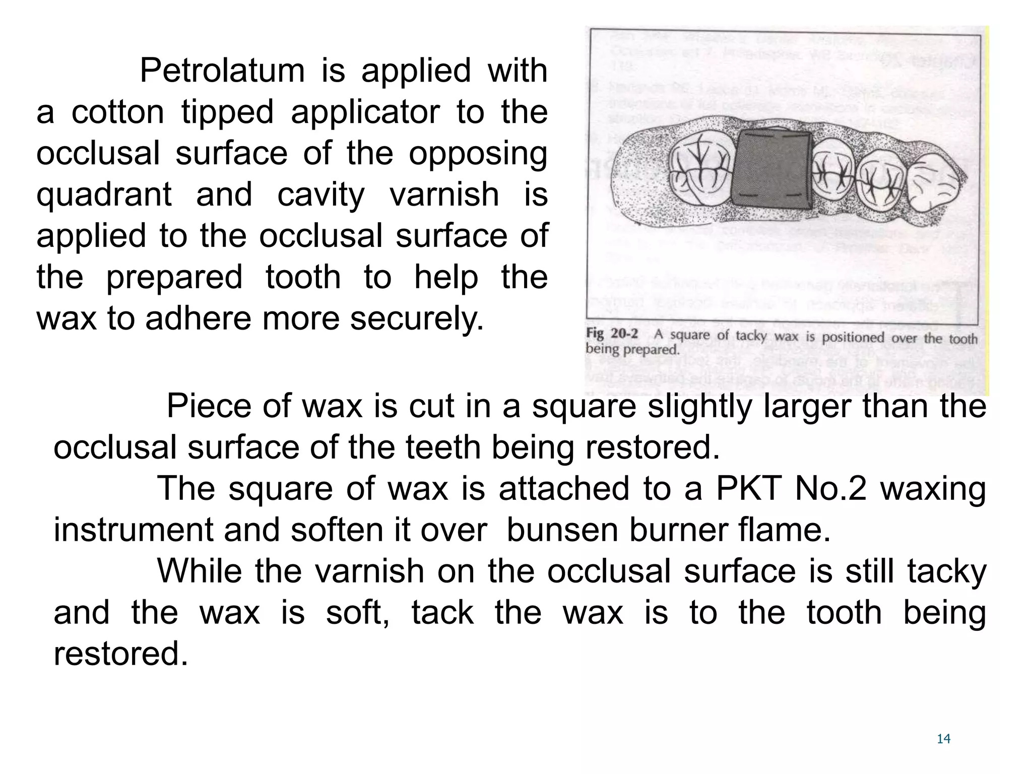 Functionally generated path occlusion final | PPTX