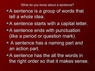 Questions - Powerpoint | PPT | Birdwatching | Hobbies & Interests