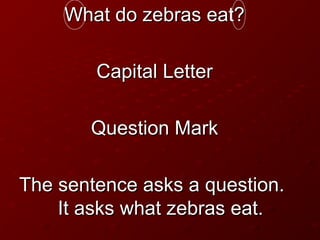 Questions - Powerpoint | PPT
