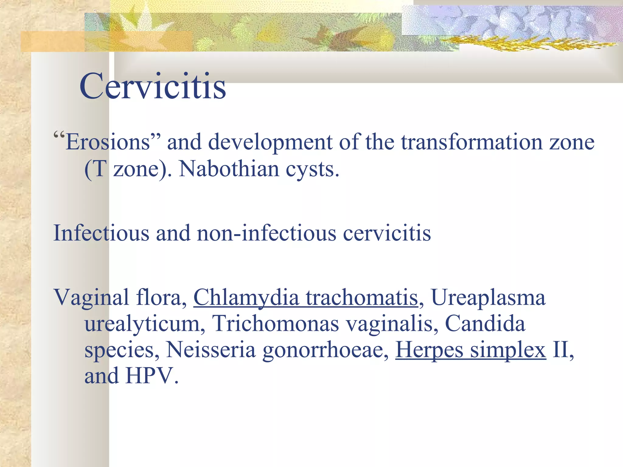 female genital system | PPT