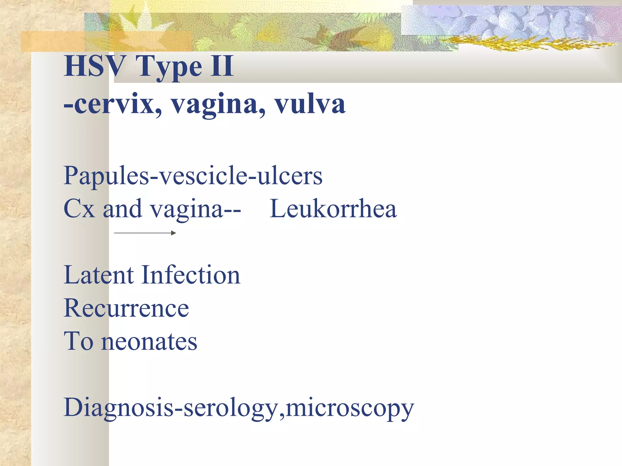 female genital system | PPT