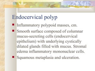 female genital system | PPT