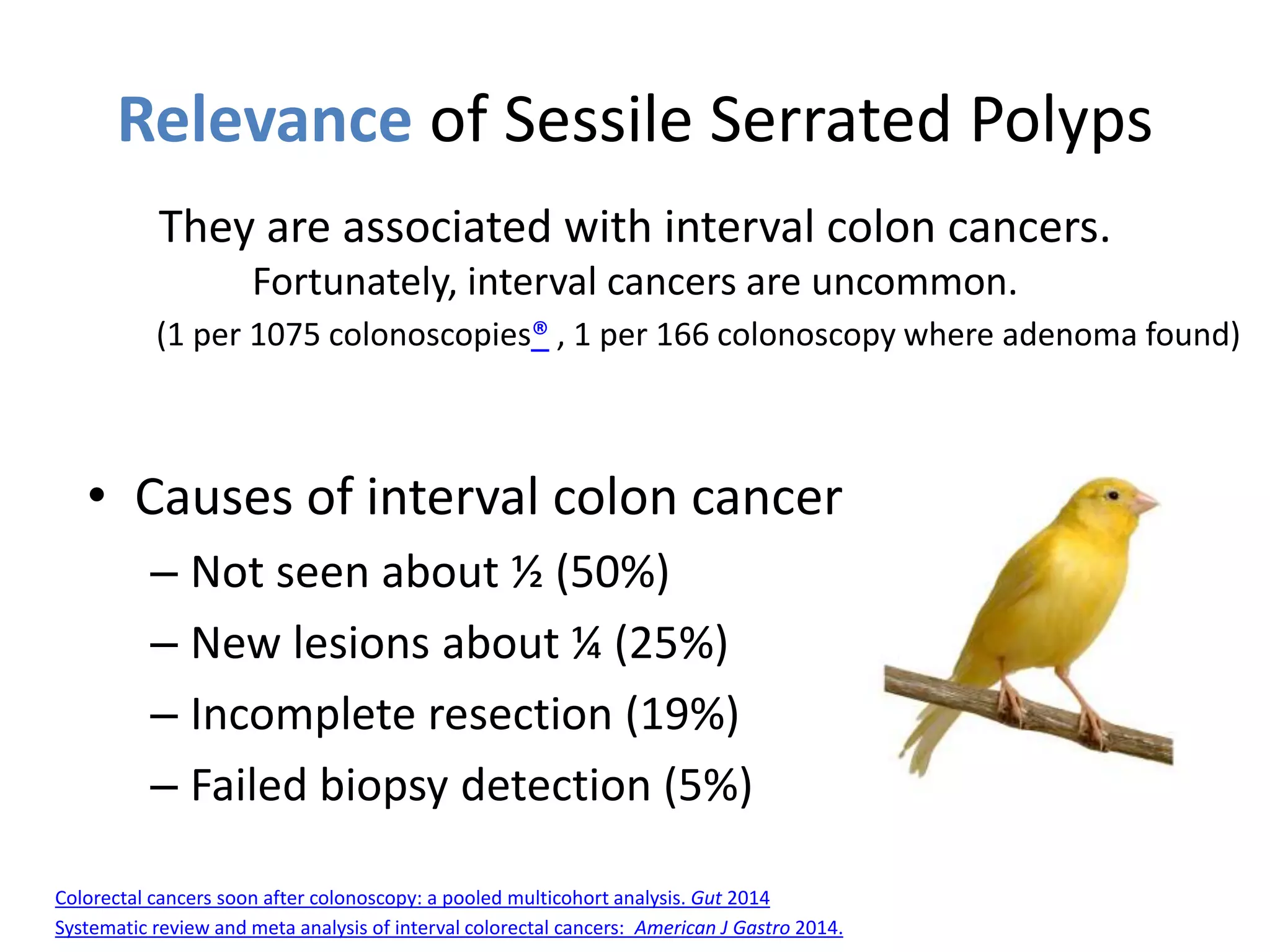 Florida GI Society. Serrated polyps. Version i. | PPTX | Digestive ...